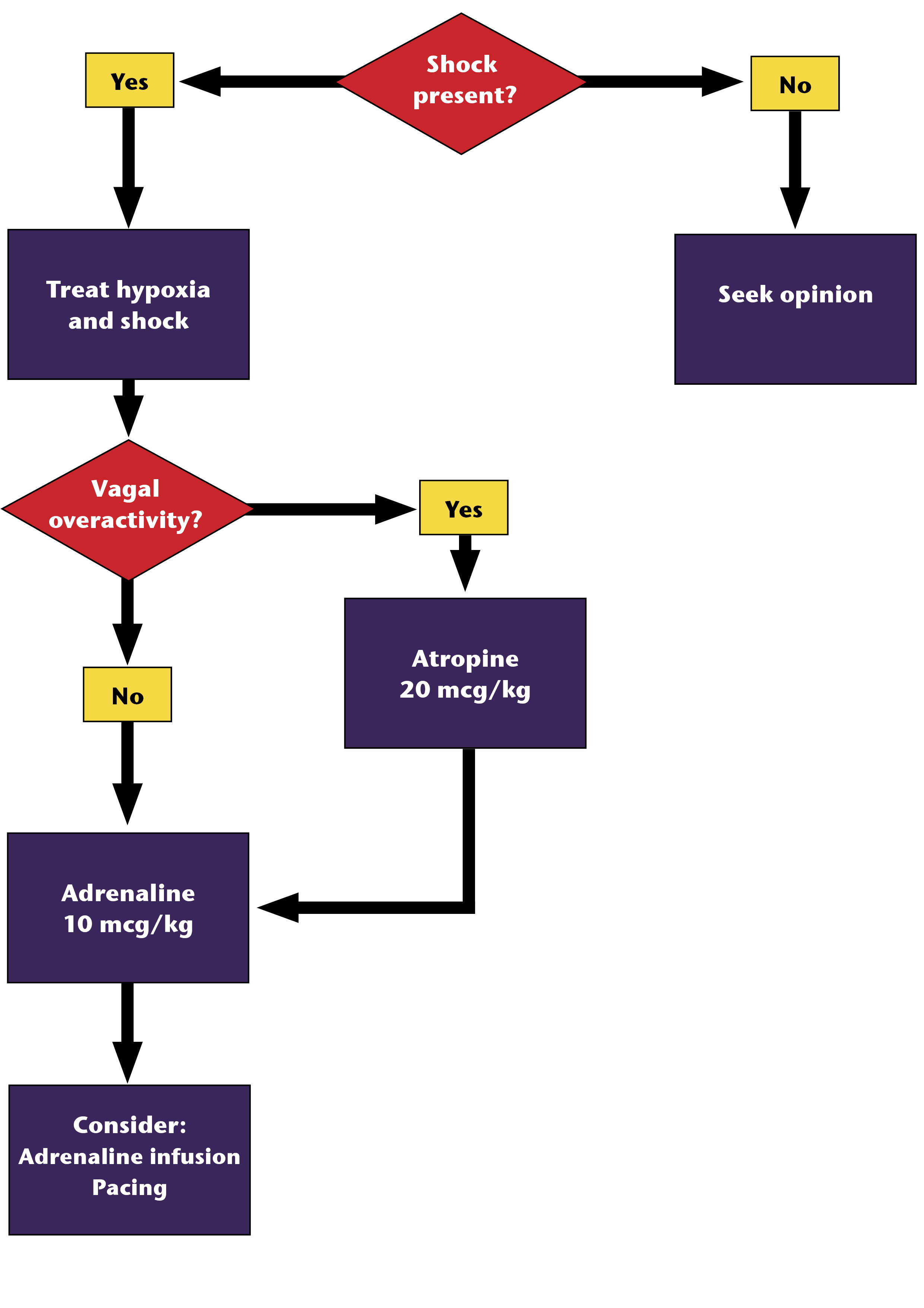 Algorithms | Bradycardia Algorithms | Bradycardia
